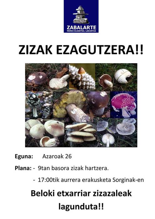 Zizak ezagutzera - Lakuntza - 2016-11-26 - Guaixe.eus